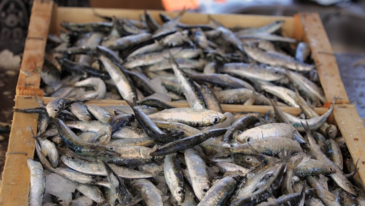 Western Cape food producer adopts desalination | Water. Desalination ...
