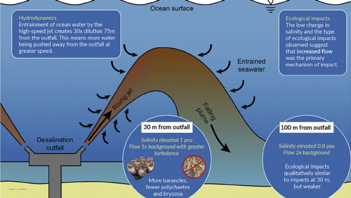 World-first study of brine outfall shows minimal impacts | Water ...